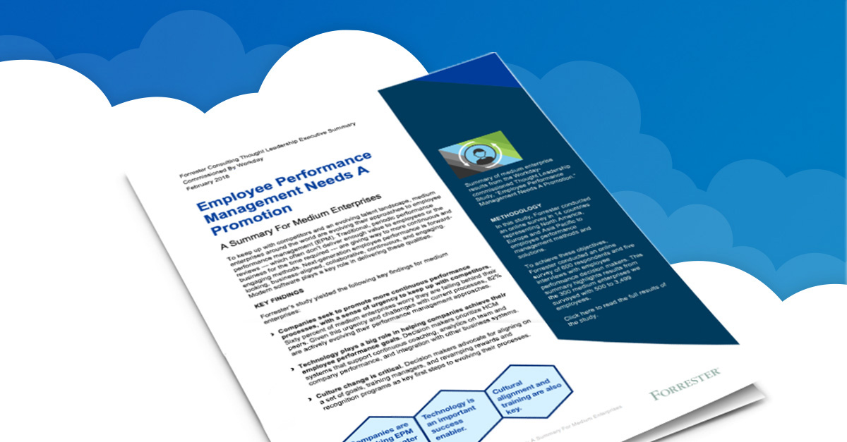 Executive summary: Performance Enablement for Medium Enterprises ...