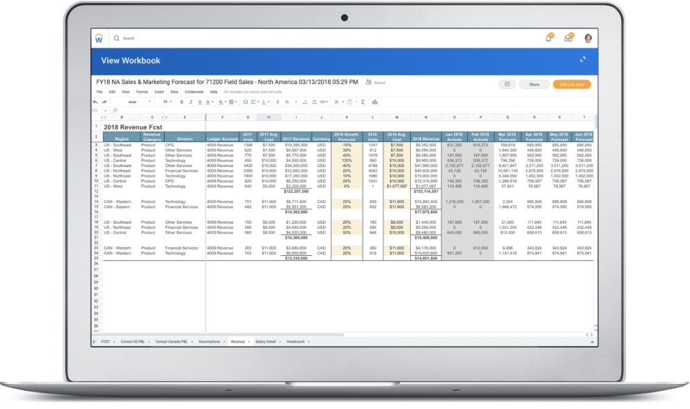 Enterprise Financial Planning and Analysis | Workday Aus & NZ